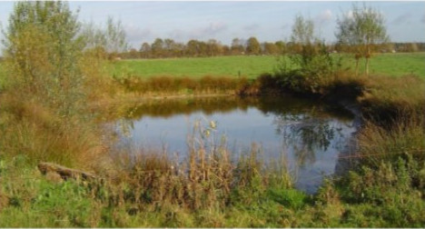 Begrenzing van het Natuurnetwerk Nederland - EplanA